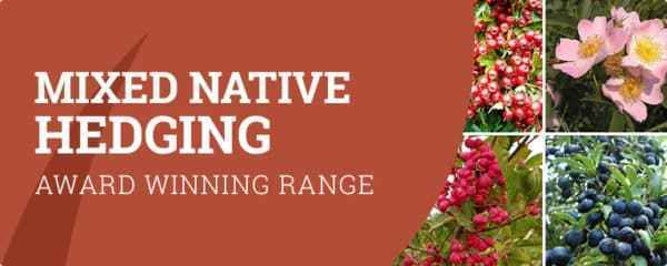 The UK's Leading Garden Hedging & Hedging Specialists | Hopes Grove ...